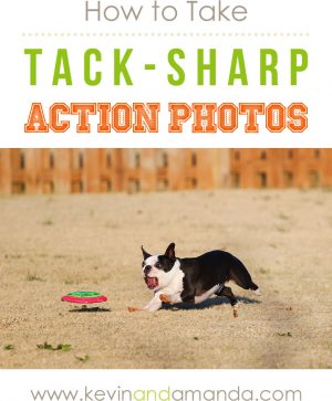 How to Take Tack-Sharp Action Photos | Avoiding Blurry Pictures