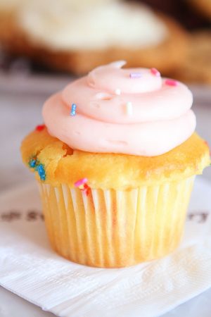 The Sweet Tooth Fairy Bakery — Kevin & Amanda