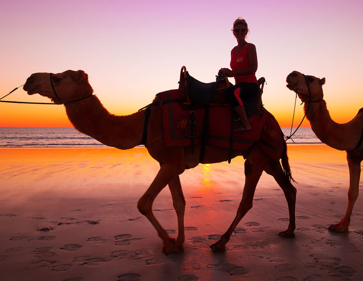 Camel Trekking in Western Australia — Kevin & Amanda
