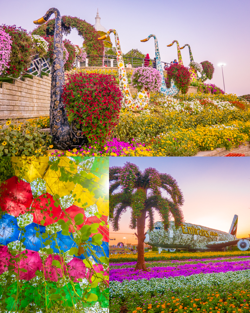 Best Things To Do In Dubai — The Ultimate First Time in Dubai Guide