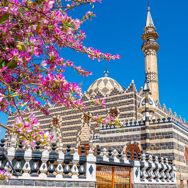 Hot Ham and Cheese Pinwheels | Ham and Cheese Roll Ups Recipe