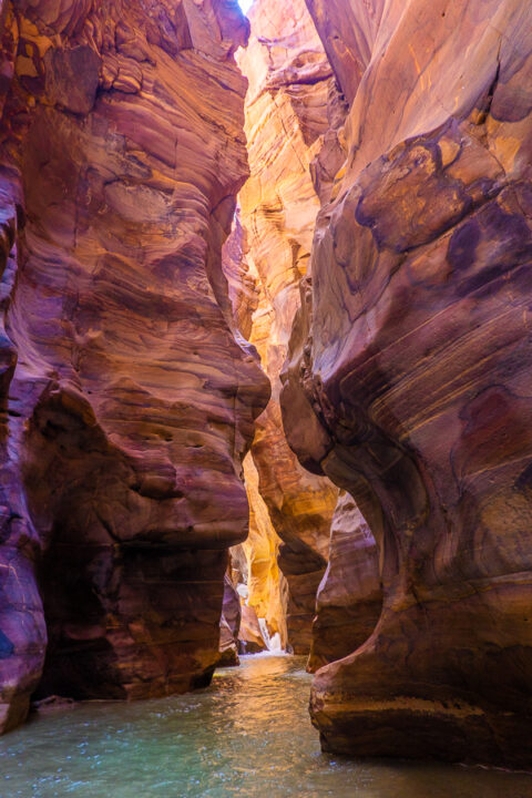 Dead Sea — 5 Things You Absolutely MUST Do (Besides Floating!)